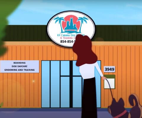 2D Video Animation Studio in Houston, Texas | BuzzFlick